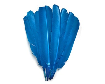 Goose Feathers 1 Pack TURQUOISE BLUE Goose by MoonlightFeatherInc