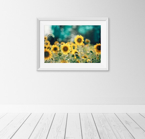 Sunflower Photography yellow teal flower art by CarolynCochrane