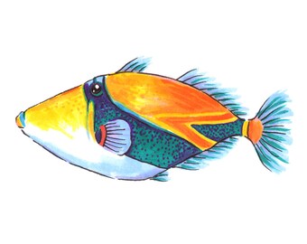 Humuhumunukunukuapua | Etsy