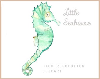 Seahorse clipart | Etsy