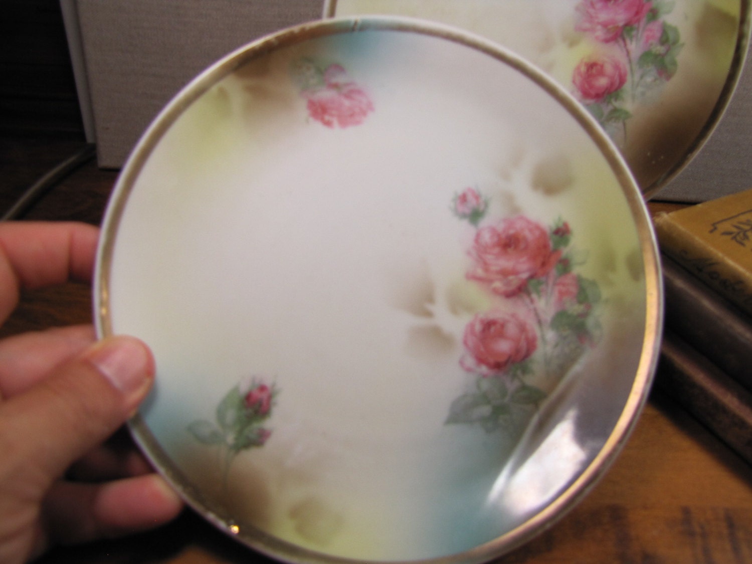 Leuchtenburg Germany Hand Painted Plates Gold Accent