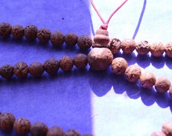 Unique bodhi tree seeds related items | Etsy