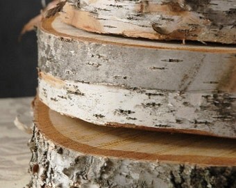 Birch logs | Etsy