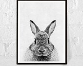 Unique bunny print related items | Etsy