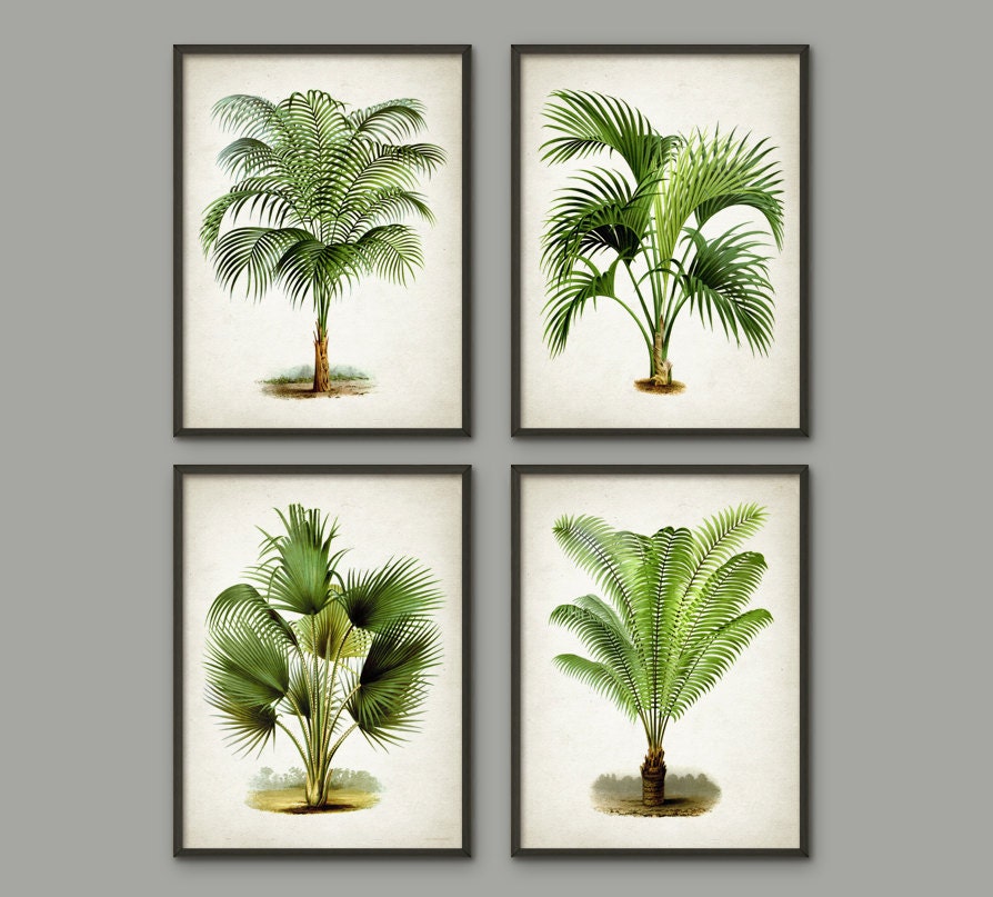Palm Tree Botanical Wall Art Print Set of 4 by QuantumPrints