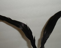Unique Black Cock Related Items Etsy