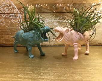 Hippo planter | Etsy