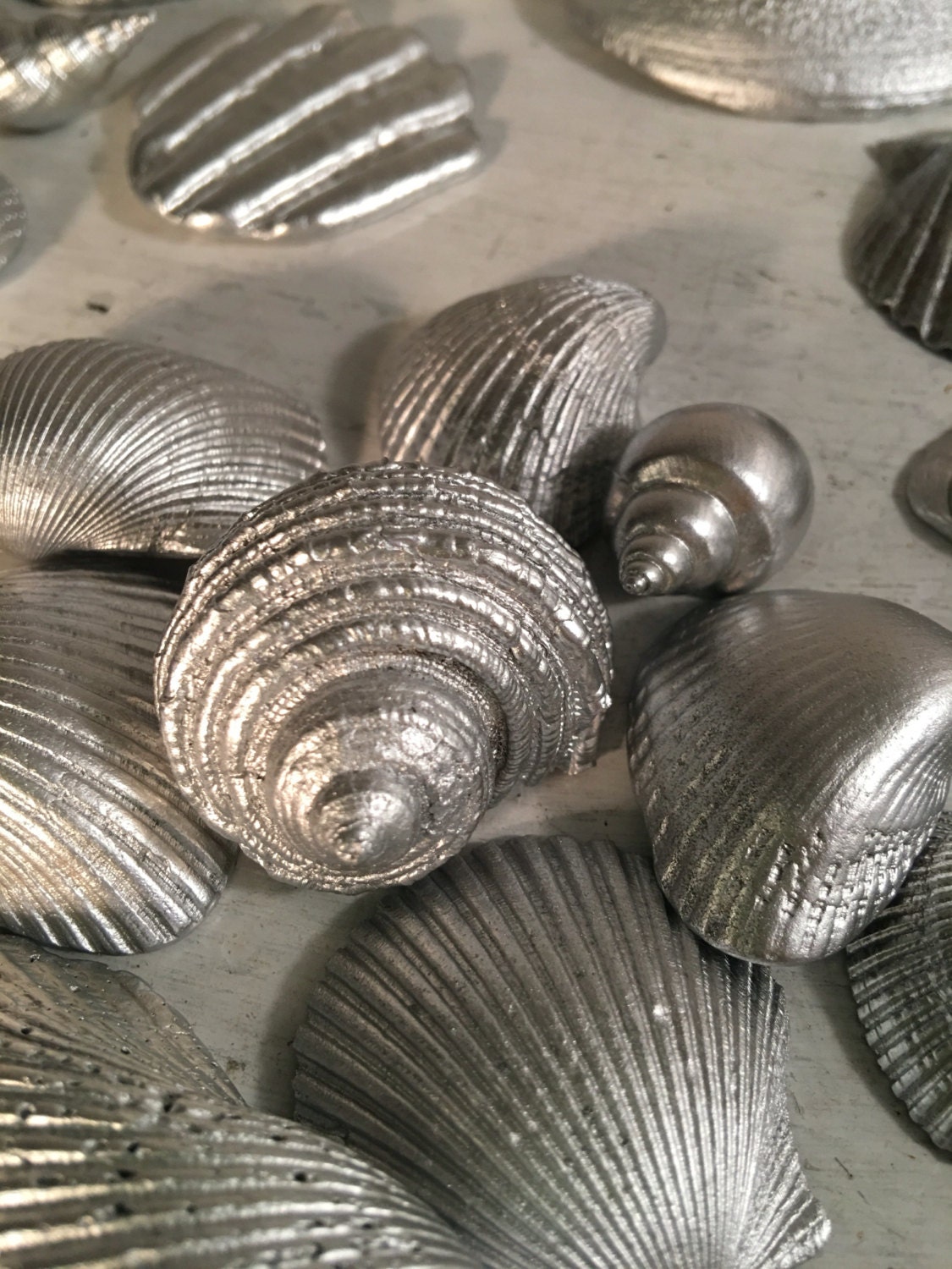 Painted seashells silver metallic seashells