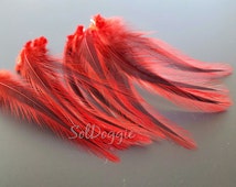 Unique red feathers related items | Etsy