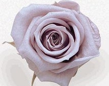 Popular items for bouquet keepsake on Etsy