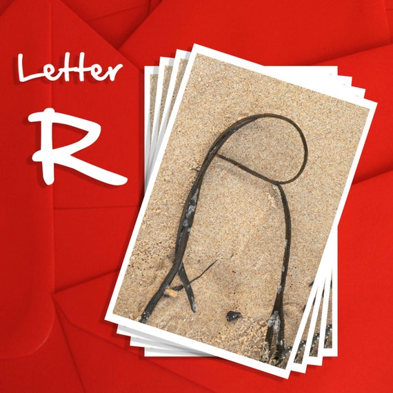 Alphabet Photography Letter R Choices Alphabet Photography