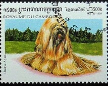 Unique lhasa apso gifts related items | Etsy