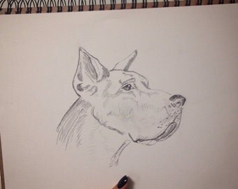 Great dane head | Etsy