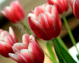 Tulips and Spring Flowers Whimsical Colorful Folk Art Giclee