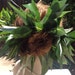 Tropical Silk Ti Leaf Bun Wrap. Braided Ti Leaf Bun Wrap.