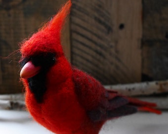 Cardinal feathers | Etsy