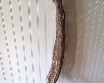 Driftwood branch | Etsy