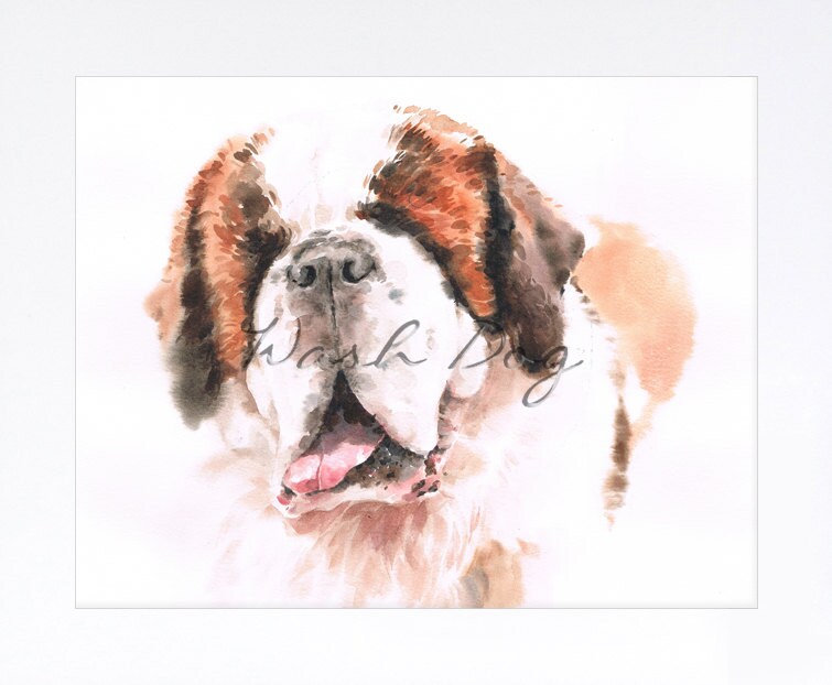 Saint bernard print of original watercolor painting Saint