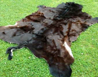 Black horse hide | Etsy