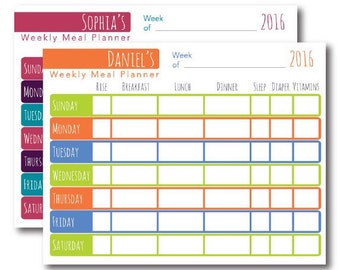 Nanny Planner Log Babysitter Printable Daily Tracker