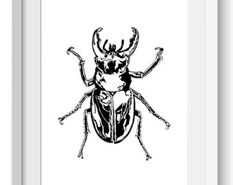 Beetle print | Etsy