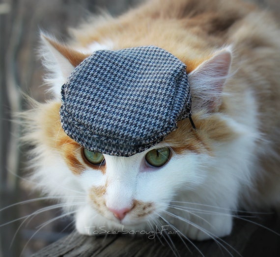 Items similar to Ivy Cap for Cats - Gray - Flat Hat - Driving Hat ...