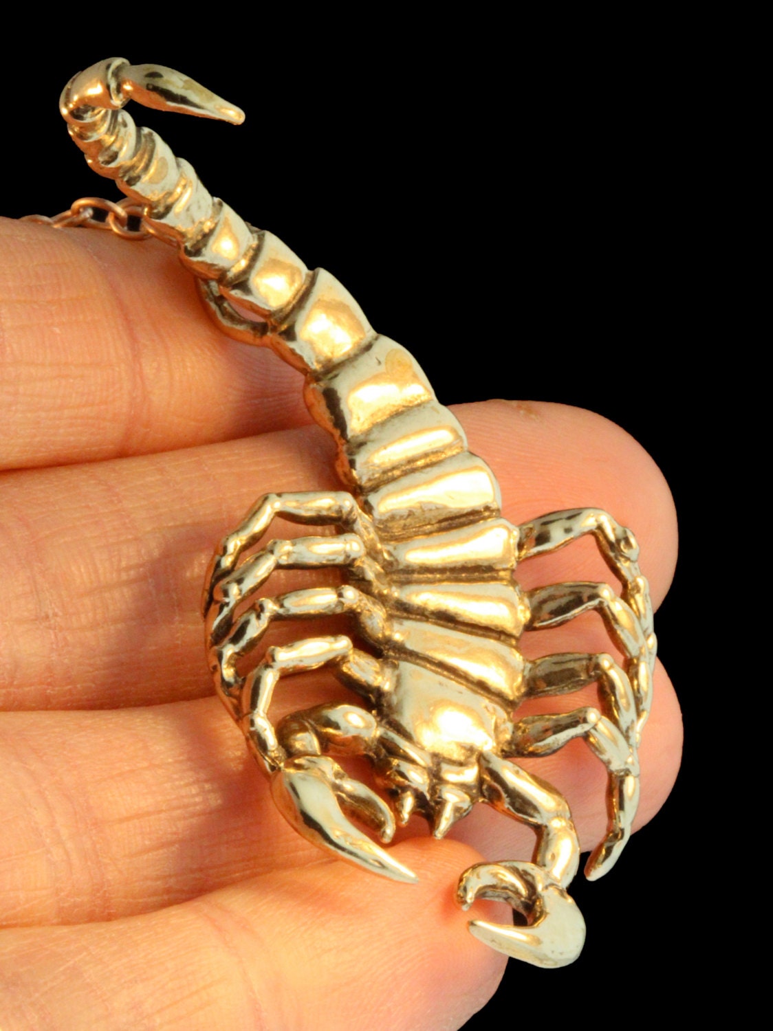 Scorpion Necklace Scorpio Astrology Jewelry Scorpion Pendant