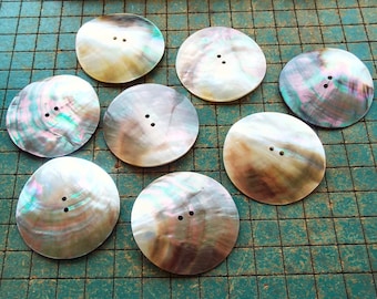 Mussel shells | Etsy