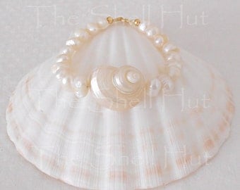 The Shell Hut Handmade Seashell Items by shellhut on Etsy