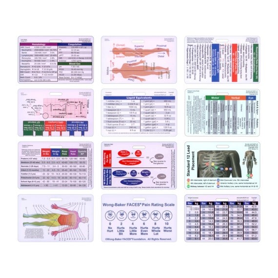 Complete Nurse Horizontal Badge Card Set 12 by scrubsandstuff