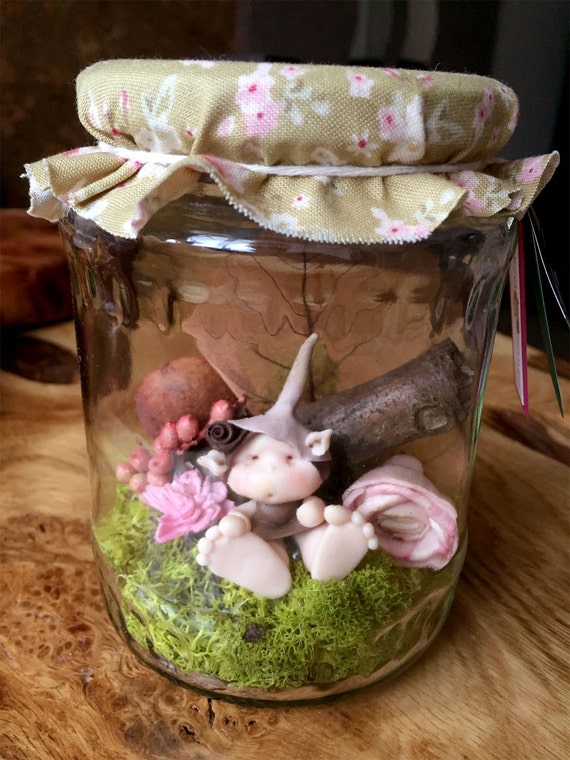 Magical Fairy Wish Jar