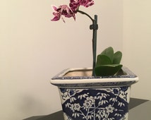 Unique orchid planters related items | Etsy