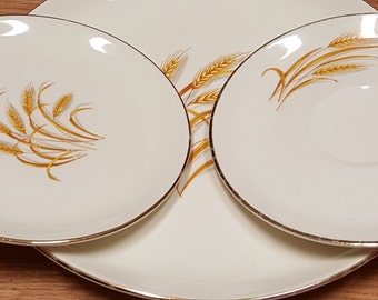 Duz detergent | Etsy