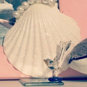 Beach Decor . Beach Souvenir . Sea Shell by SparklingSeashells