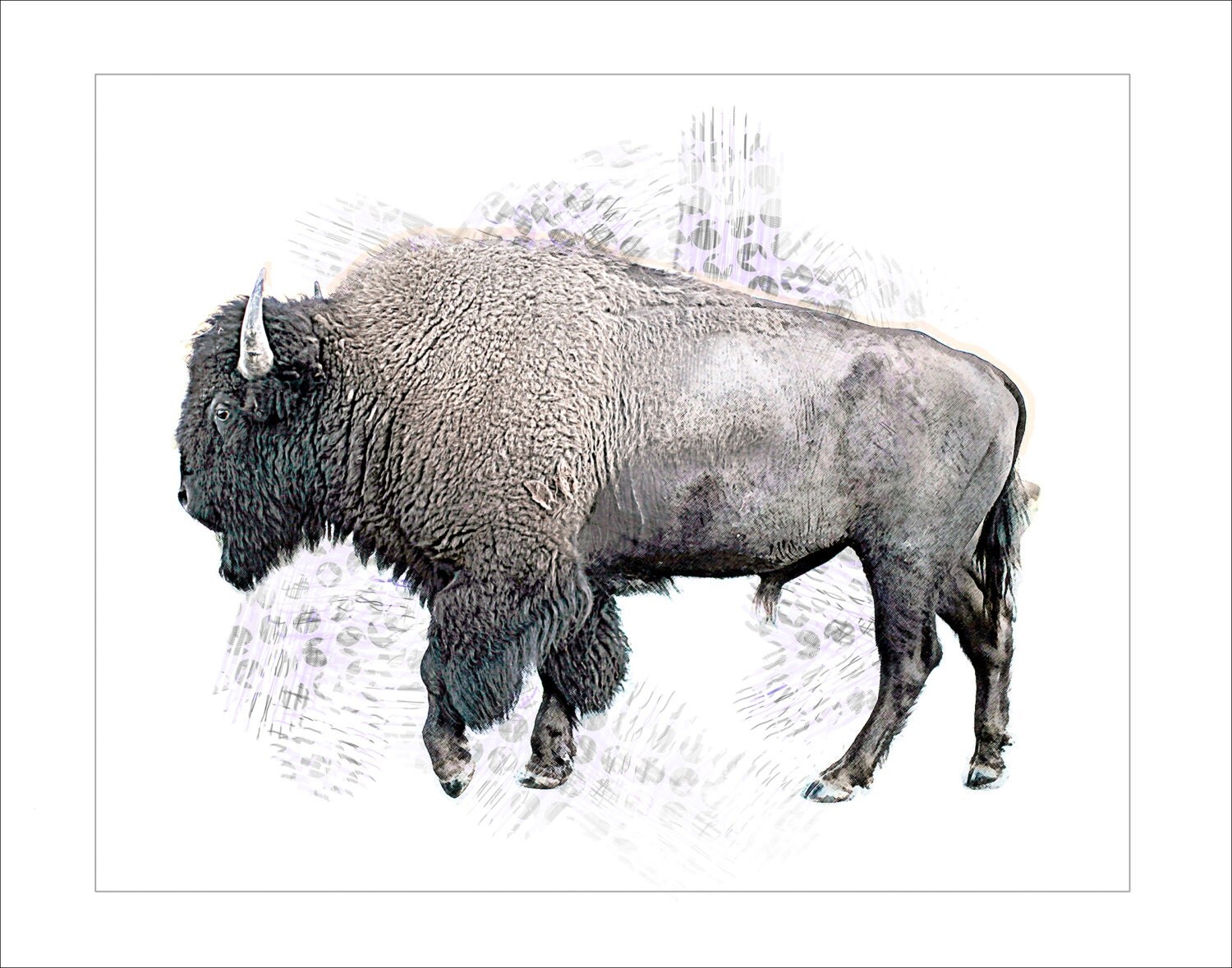 American Bison Animal Art print Modern art Bison print