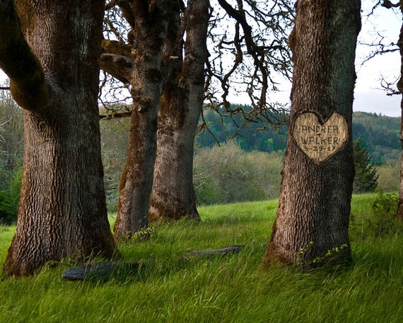 Carved Heart on Tree Personalized Wedding Gift Unique Romantic