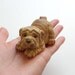 Shar Pei statue Concrete Shar Pei Concrete by TheConcreteDaisy