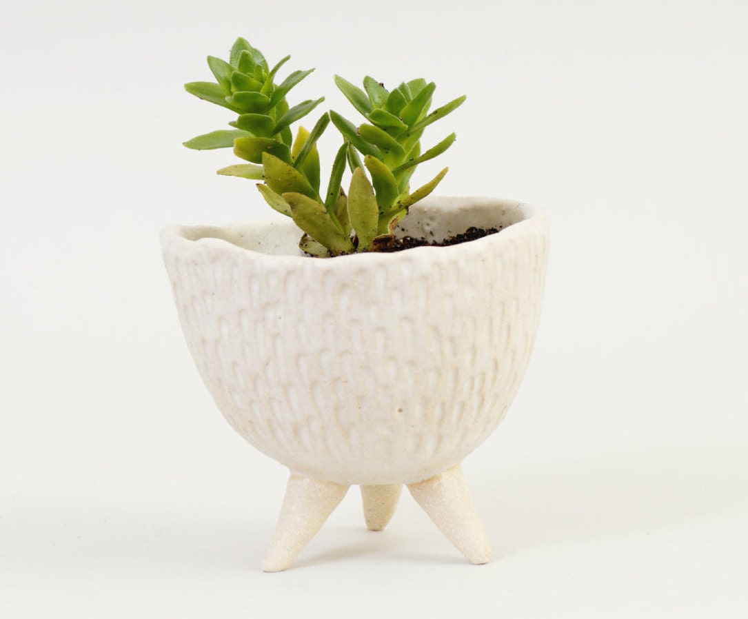 Textured White Modern Planter Handmade Ceramic Planter
