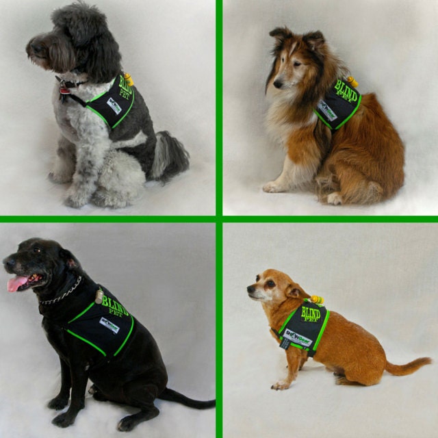 Blind Dog Alert Vest Kit