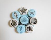 Popular items for sea life magnets on Etsy