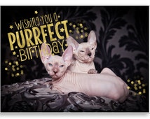 Unique purrfect birthday related items | Etsy