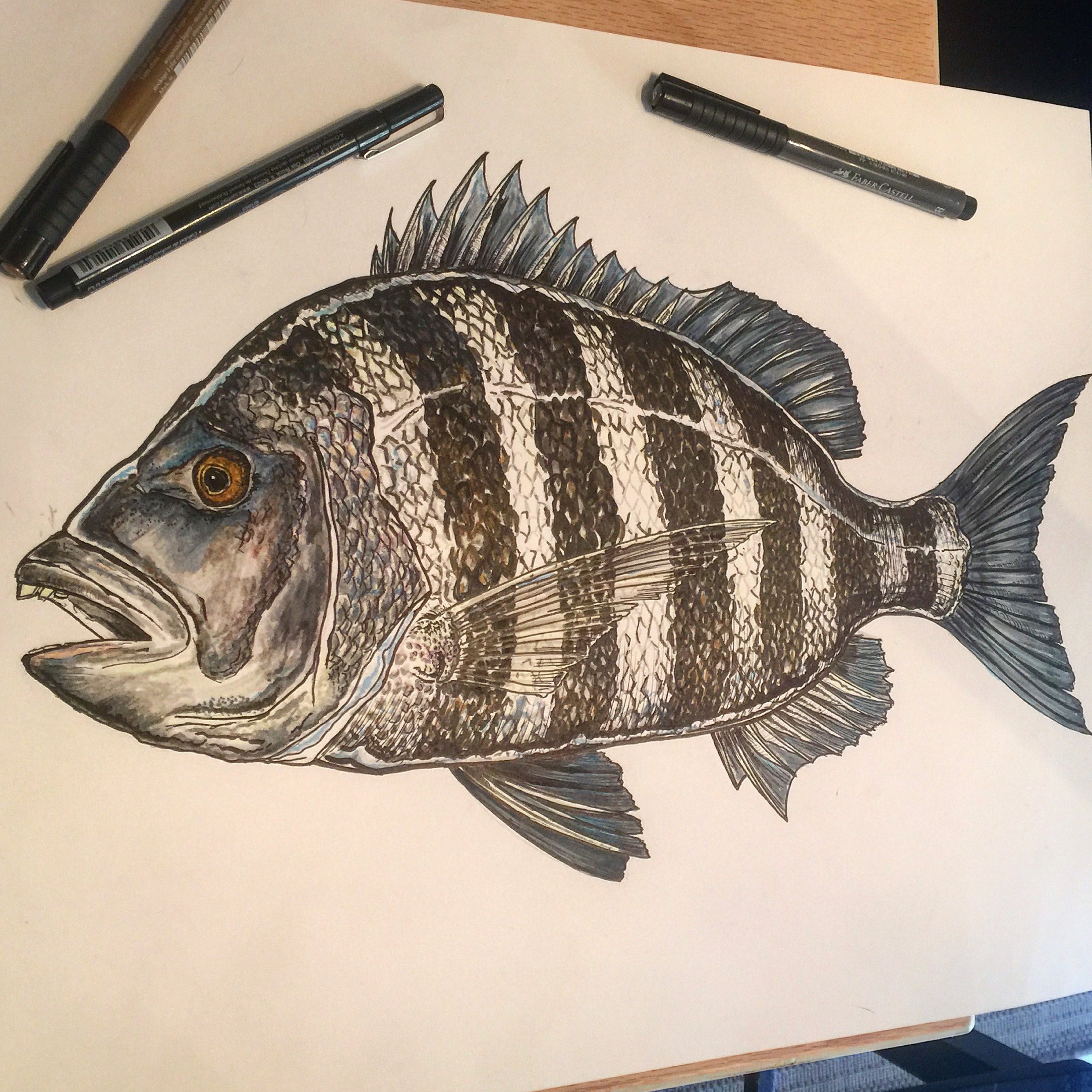 Fish Art and Fishing Decals by CaptStephenFerrell on Etsy
