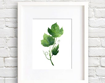 Vines ivy | Etsy