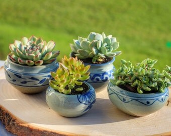 Blue flower pot | Etsy