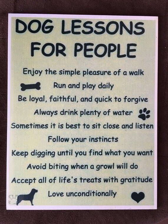Dog Lessons for People Decoupaged On Wood