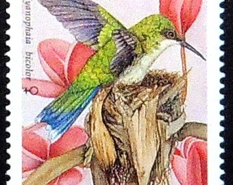 Hummingbird stamp | Etsy