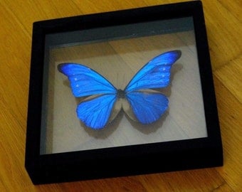 See through frames | Etsy