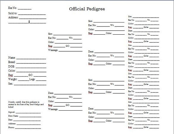 Free Printable Rabbit Pedigree Forms Printable Forms Free Online