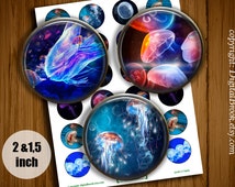 Popular items for sea life magnets on Etsy