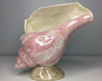 Conch shell planter | Etsy